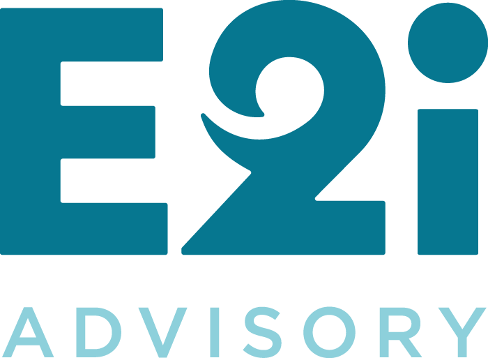 E2i Advisory – Business and investment operations support